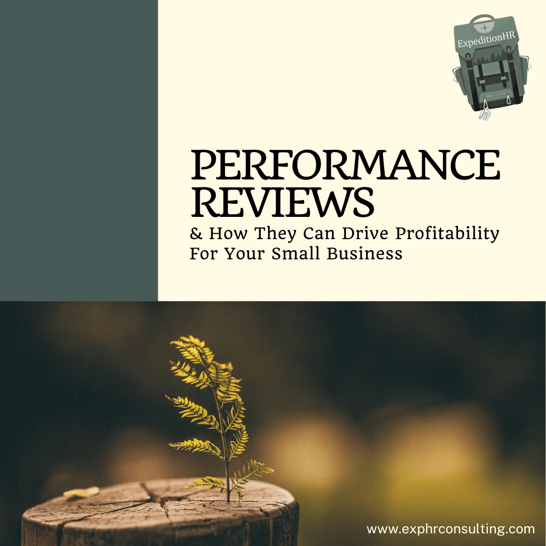 How Performance Reviews Can Drive Profitability For Your Small Business ...